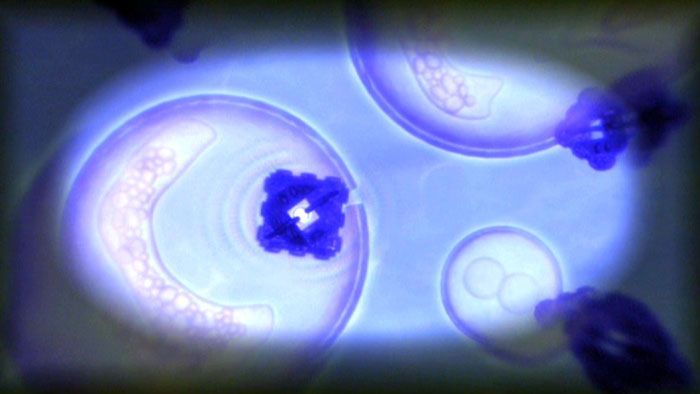 Borg Nanoprobes Repairing Cells... | Scrolller