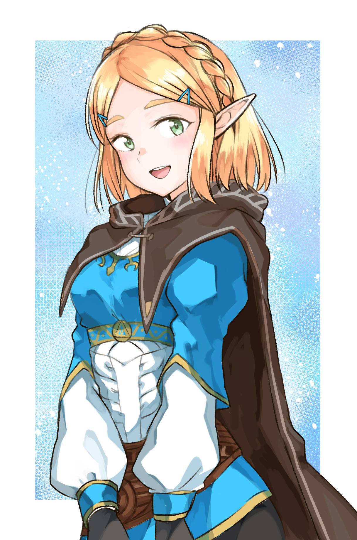 BOTW Zelda | Scrolller
