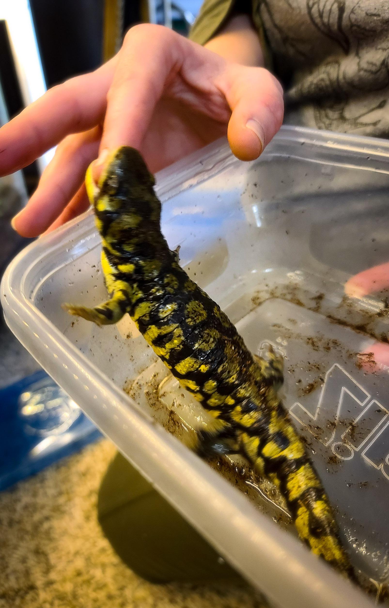 'Bout lost a finger cleaning tanks. | Scrolller