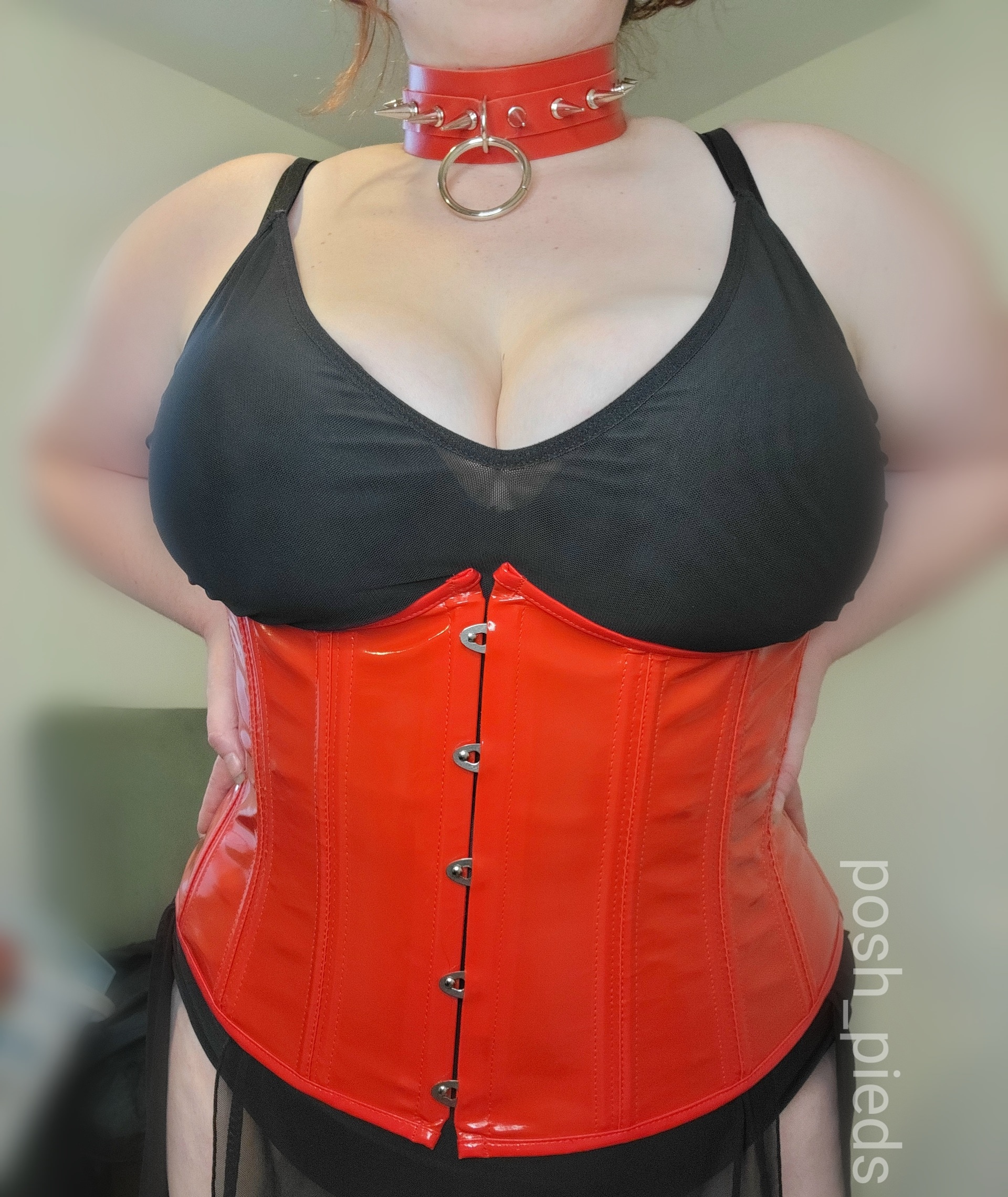 Bow down to your royal highness | Scrolller