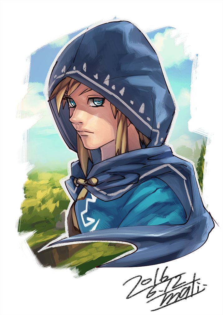 Boy in the hood [BotW] | Scrolller