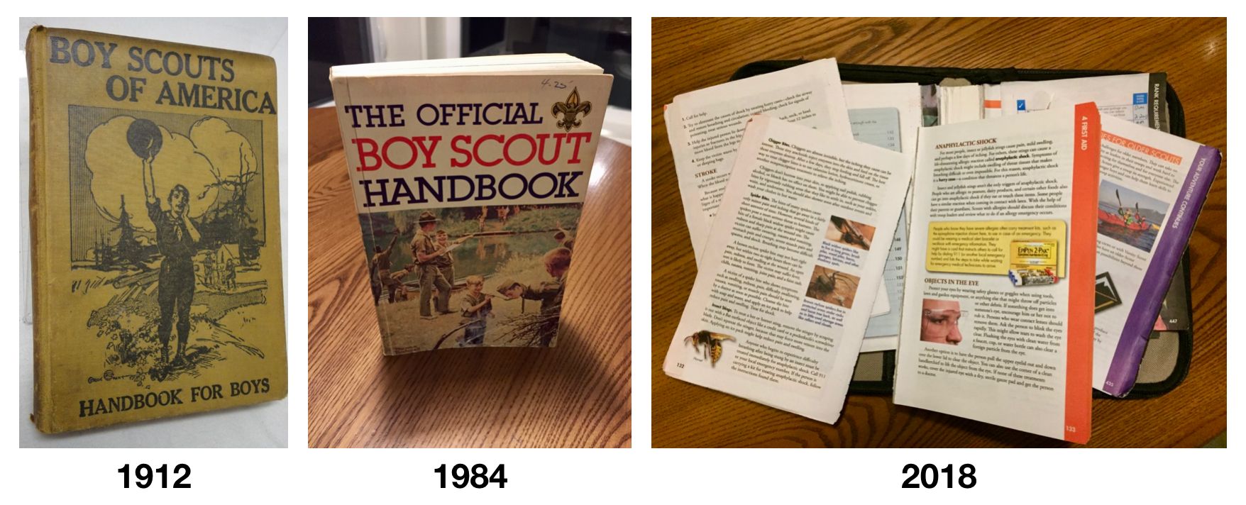 Boy Scout Handbooks through the ages... | Scrolller