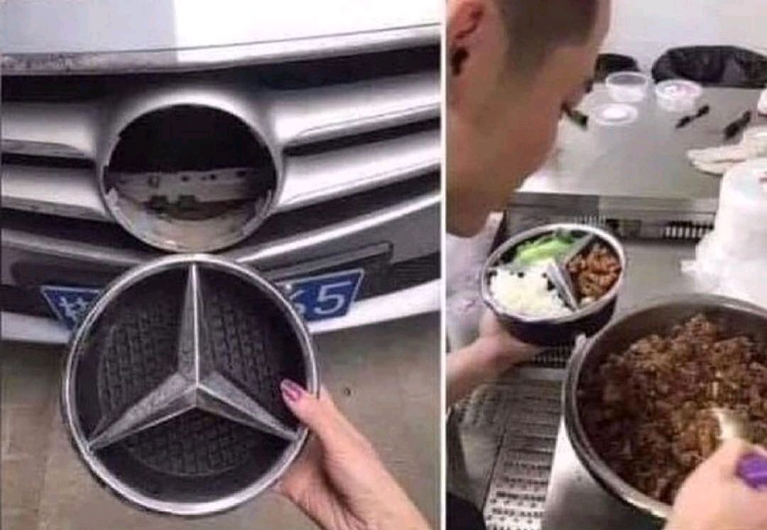 Brain 100 | Scrolller