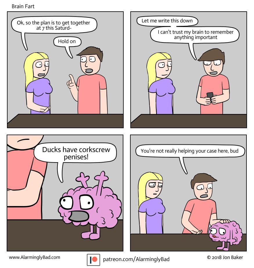 Brain Fart | Scrolller