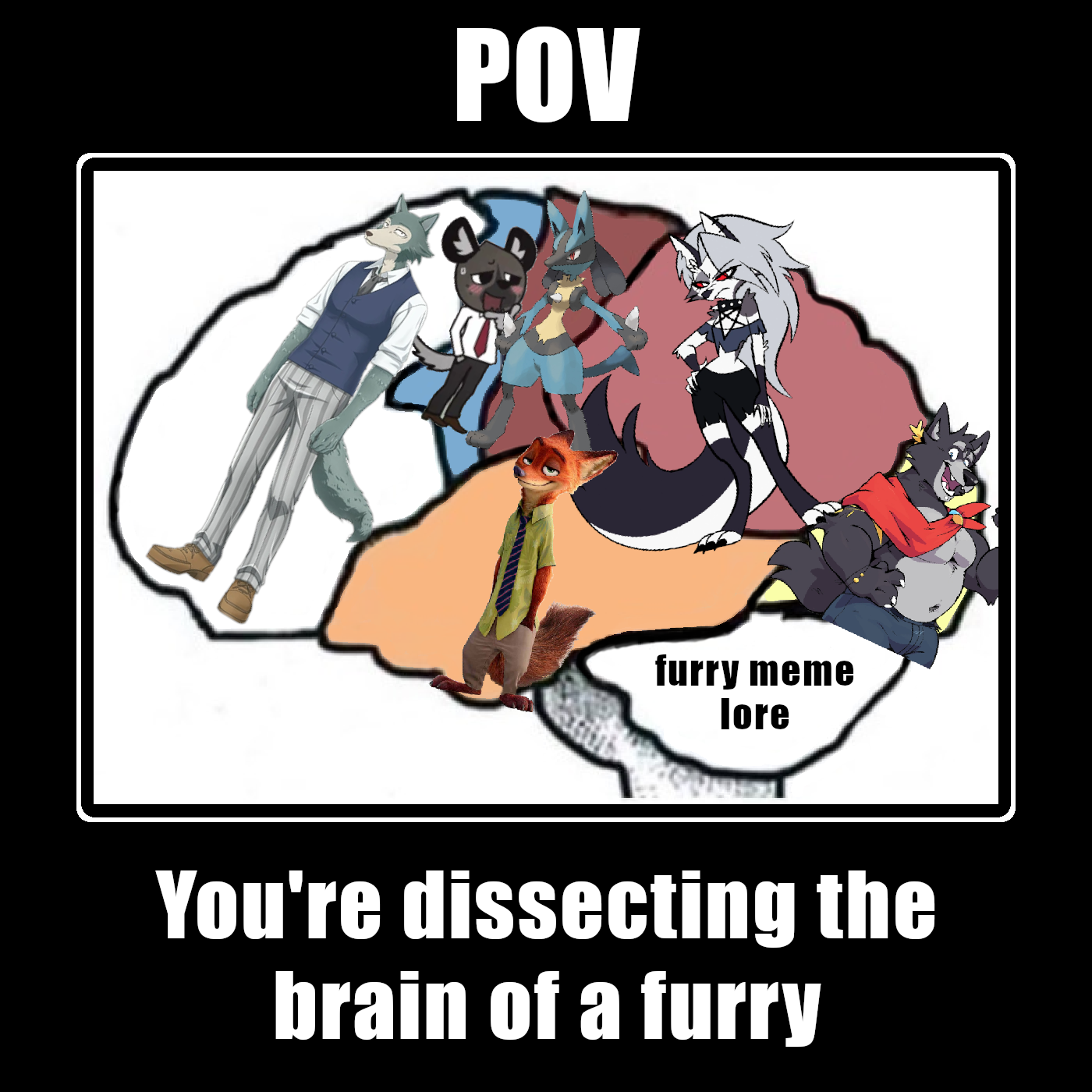 brain🧠irl | Scrolller