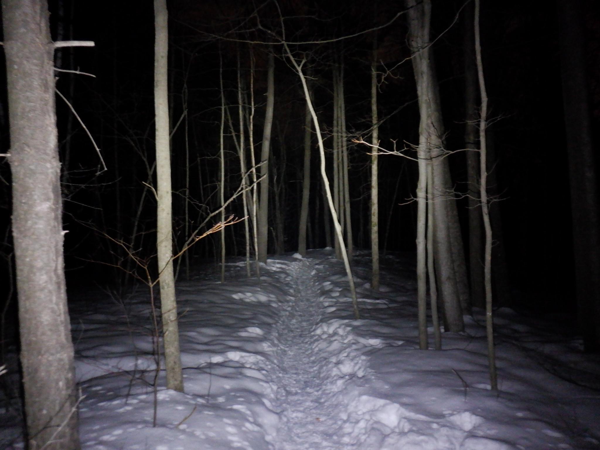 Braving The Cold With The Olight Warrior Mini Scrolller
