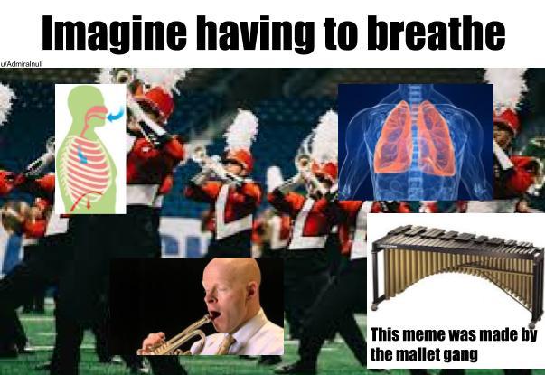 *breathing intensifies* | Scrolller