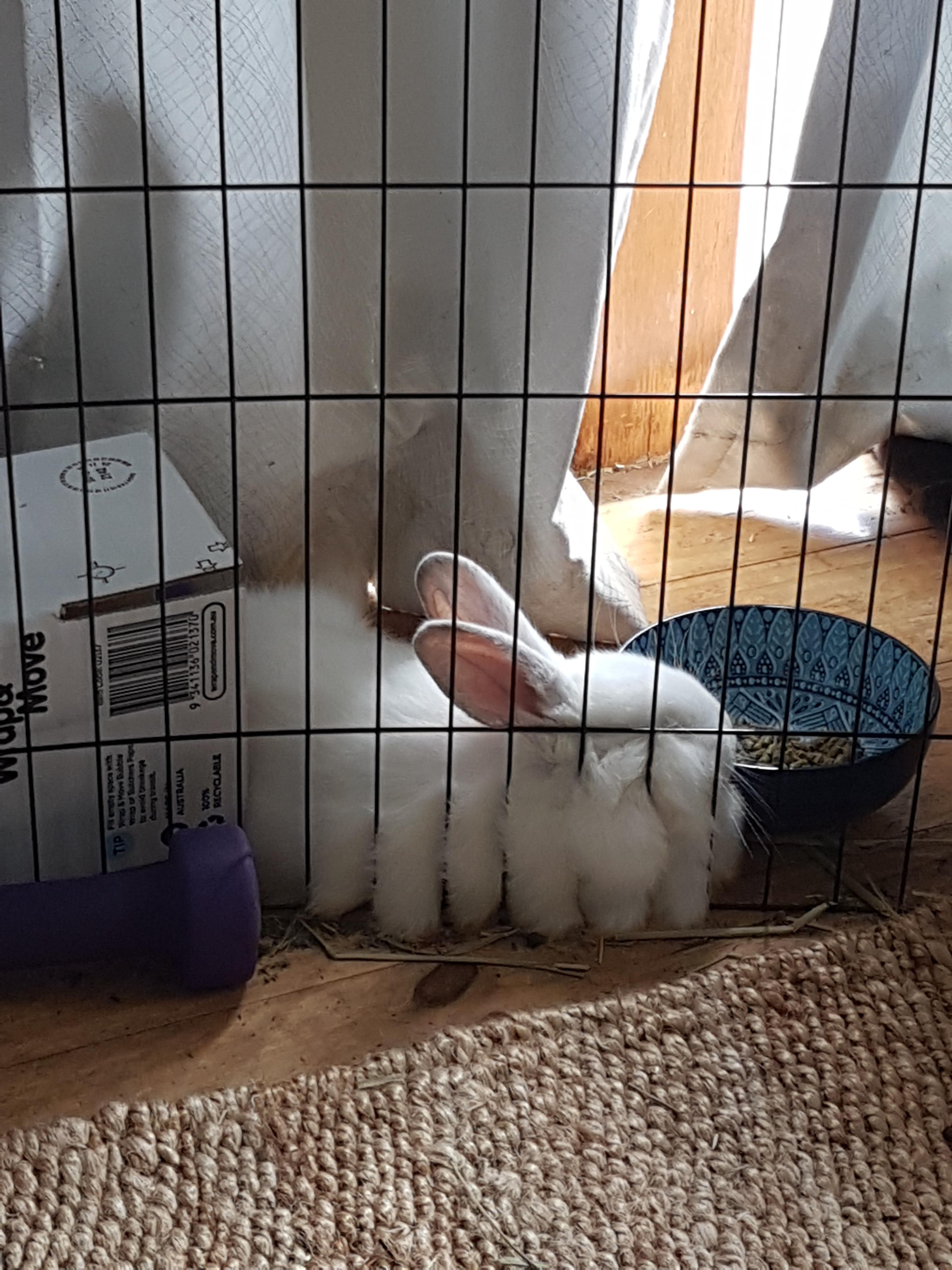 Bridget looks very content | Scrolller