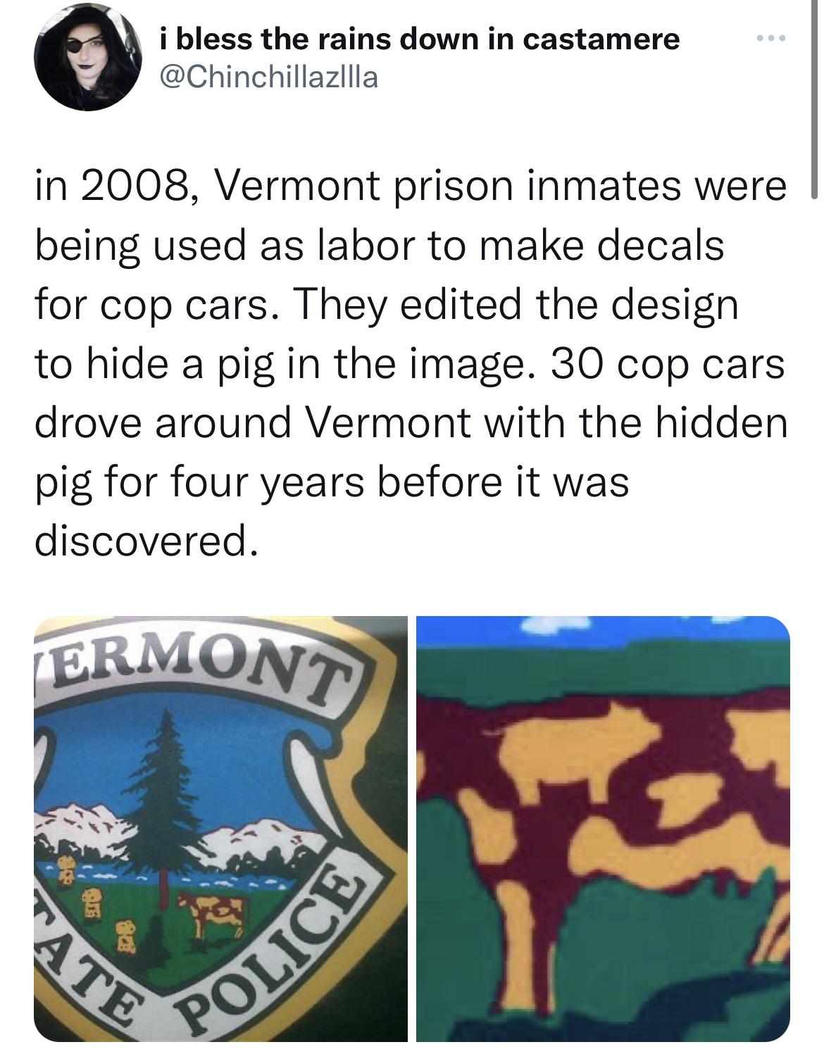 Brilliant | Scrolller