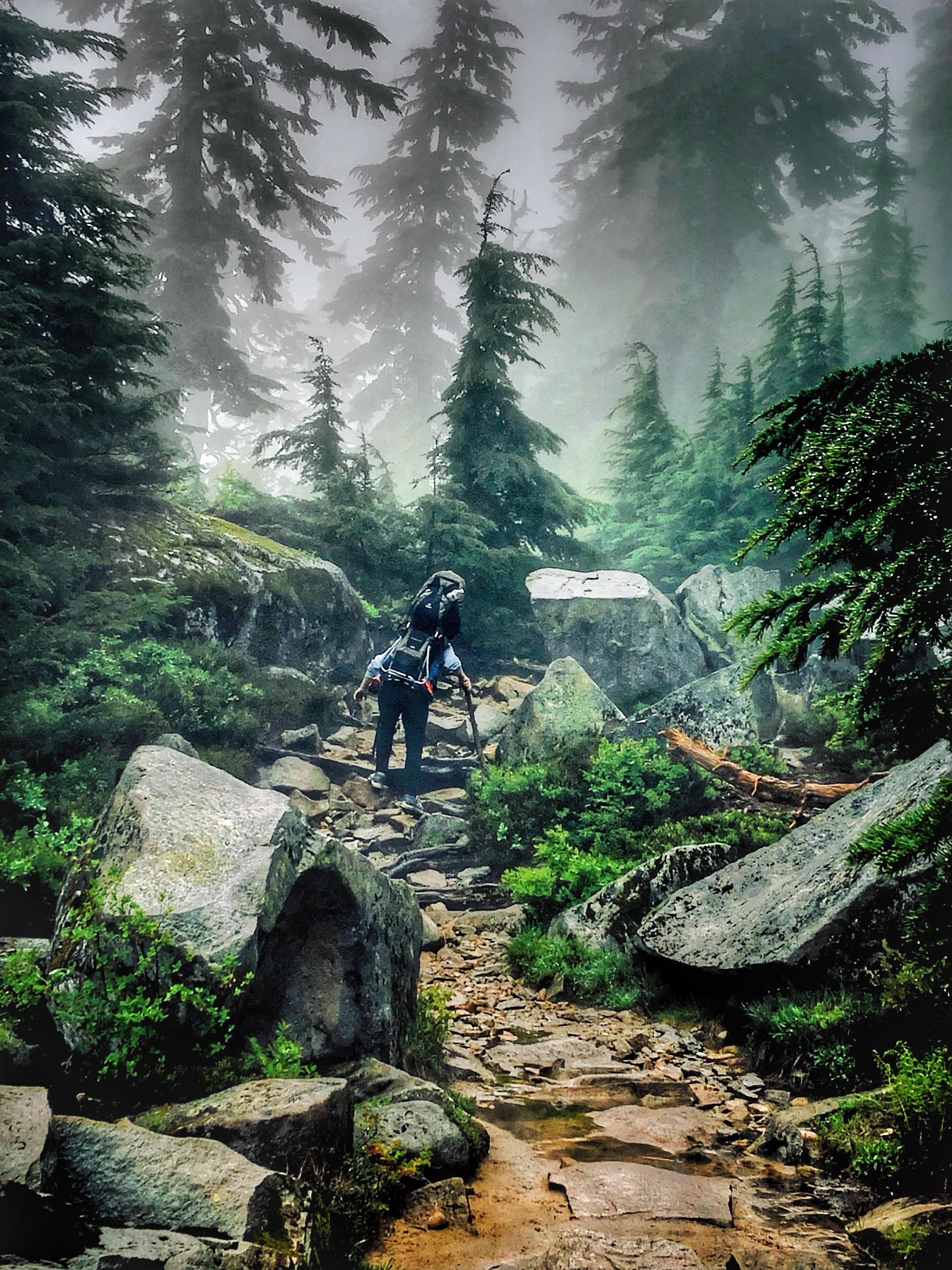 Brisk walk | Scrolller