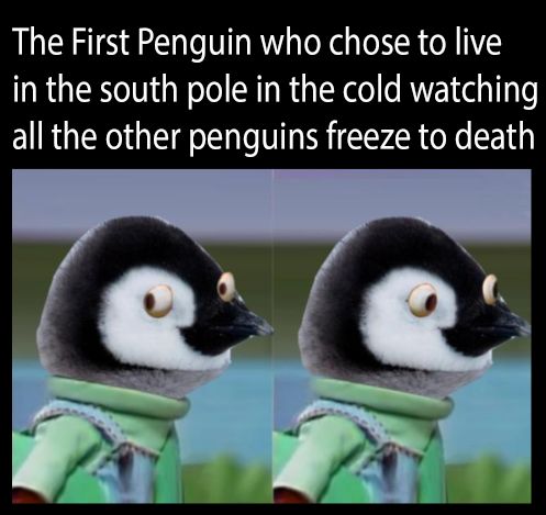 Oh shit, what have I done | Scrolller