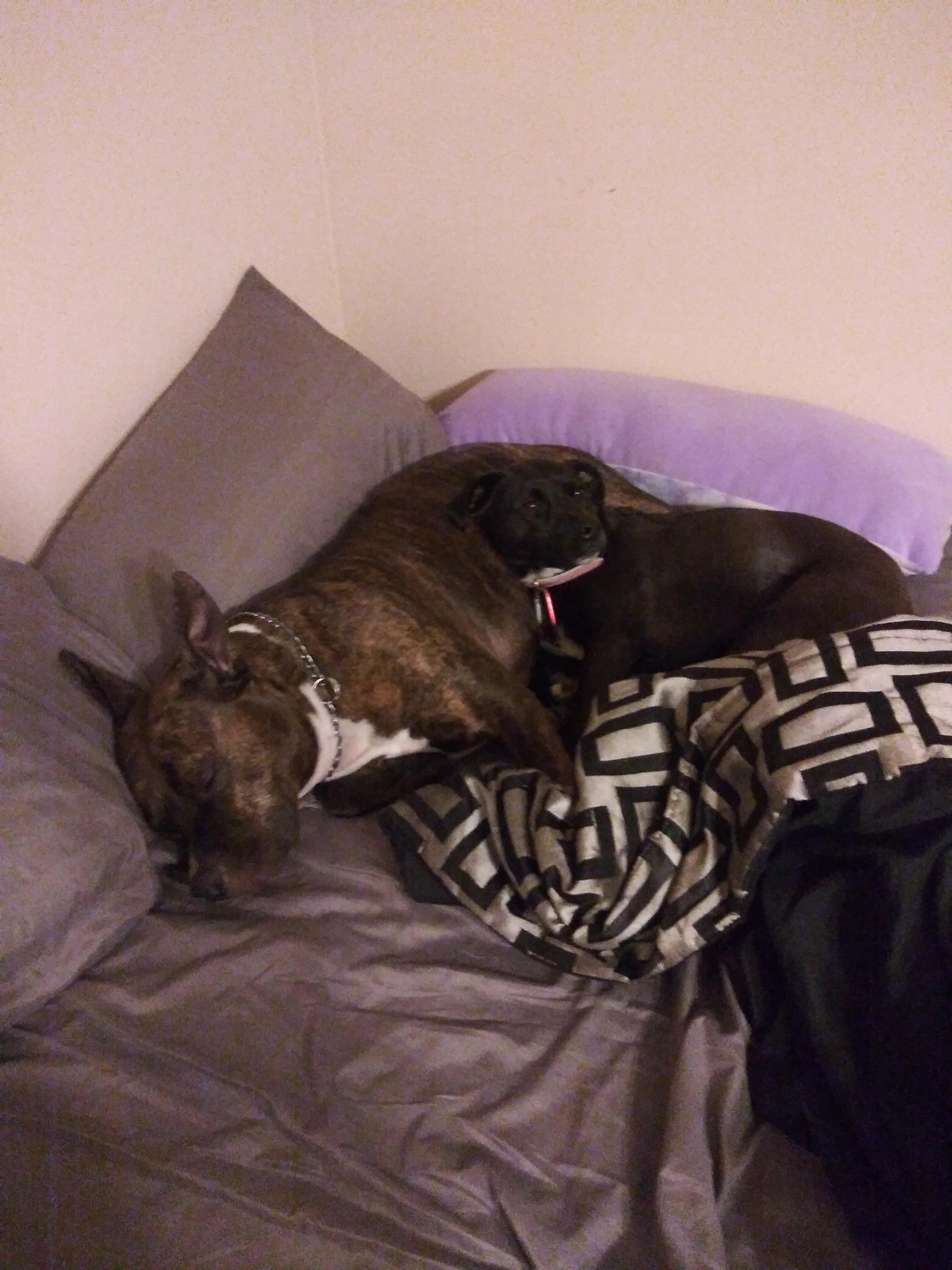 Brother and sister naps 😍 | Scrolller