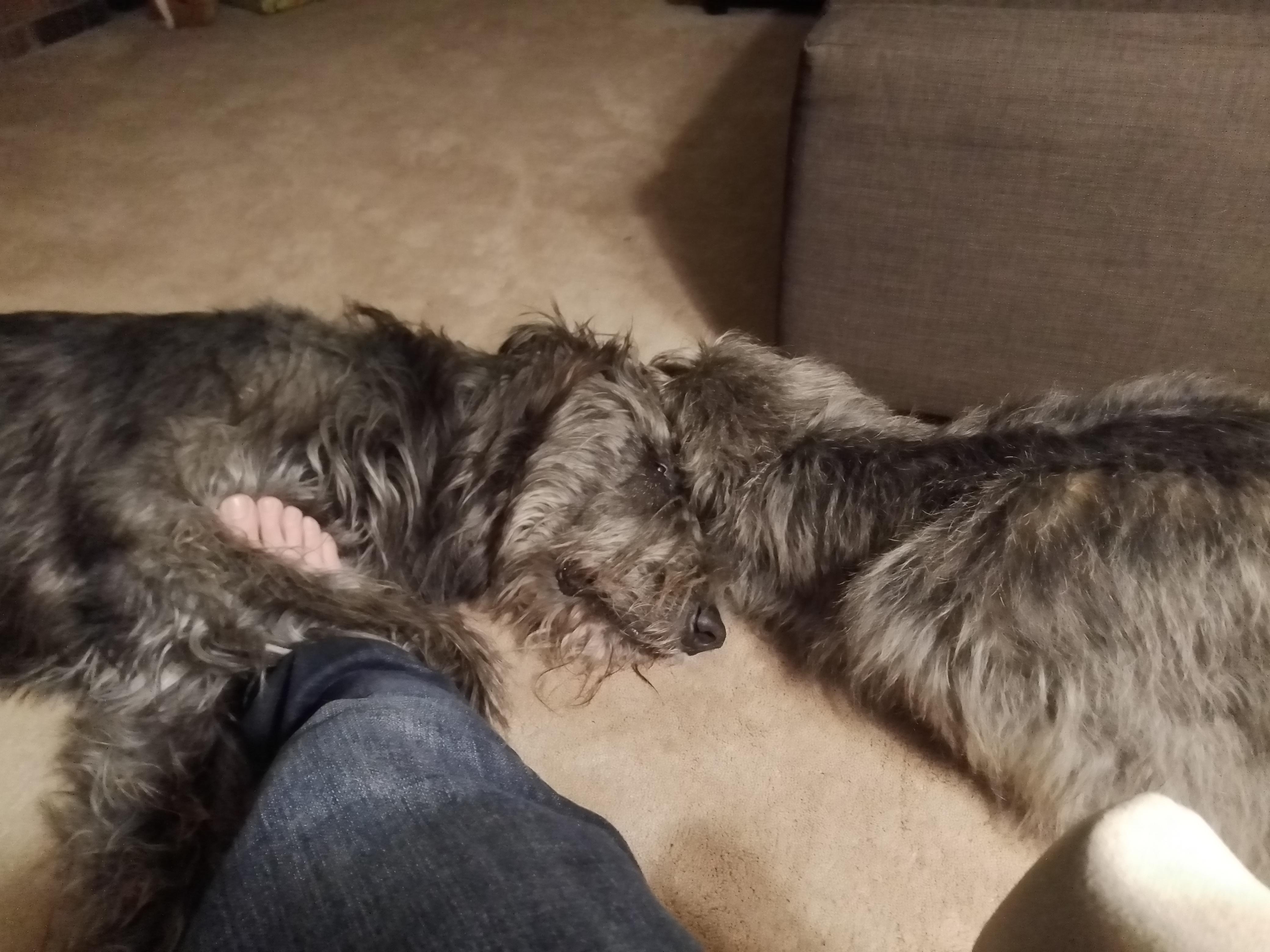 Brother/Sister | Scrolller