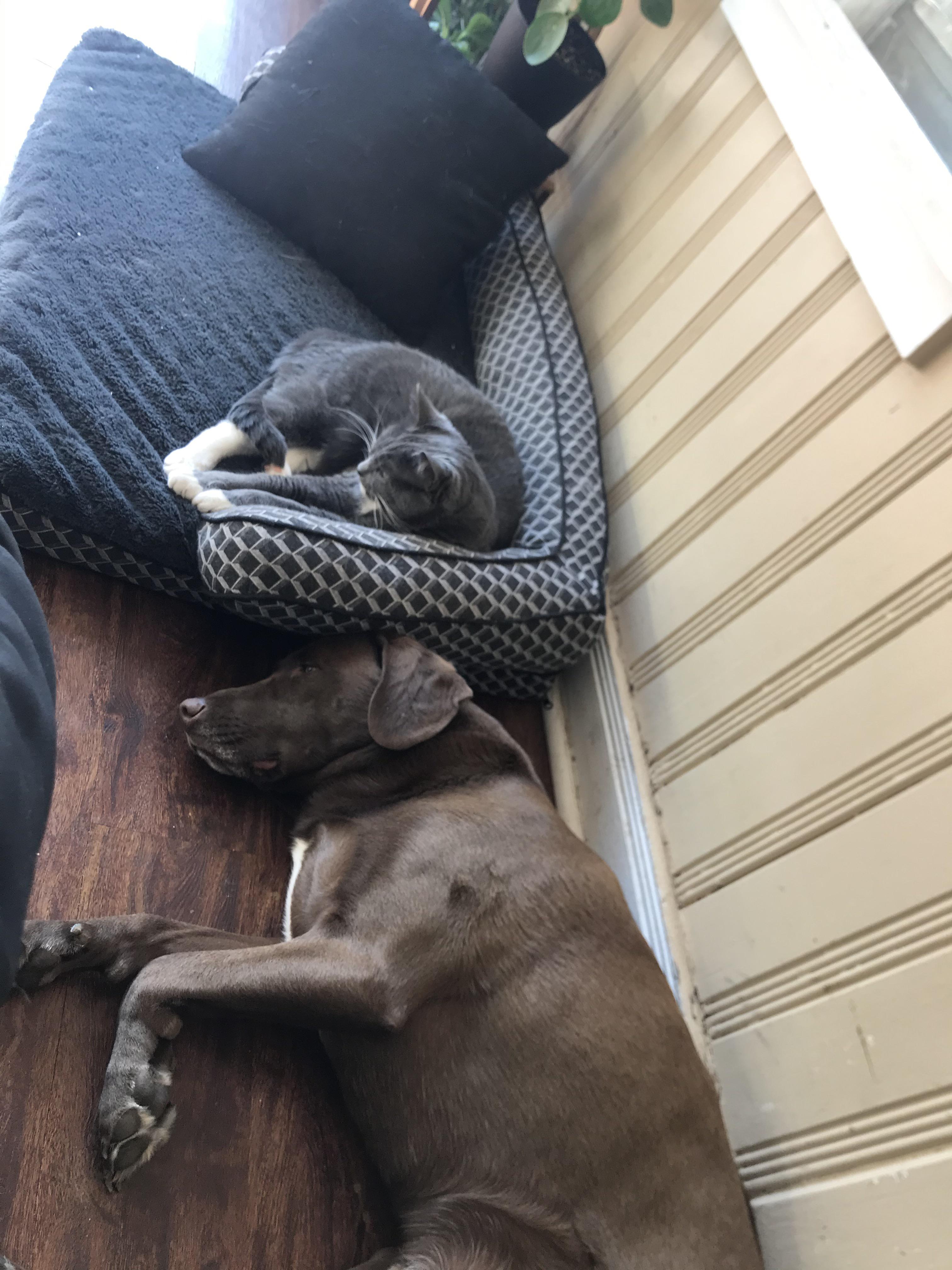 brothers | Scrolller