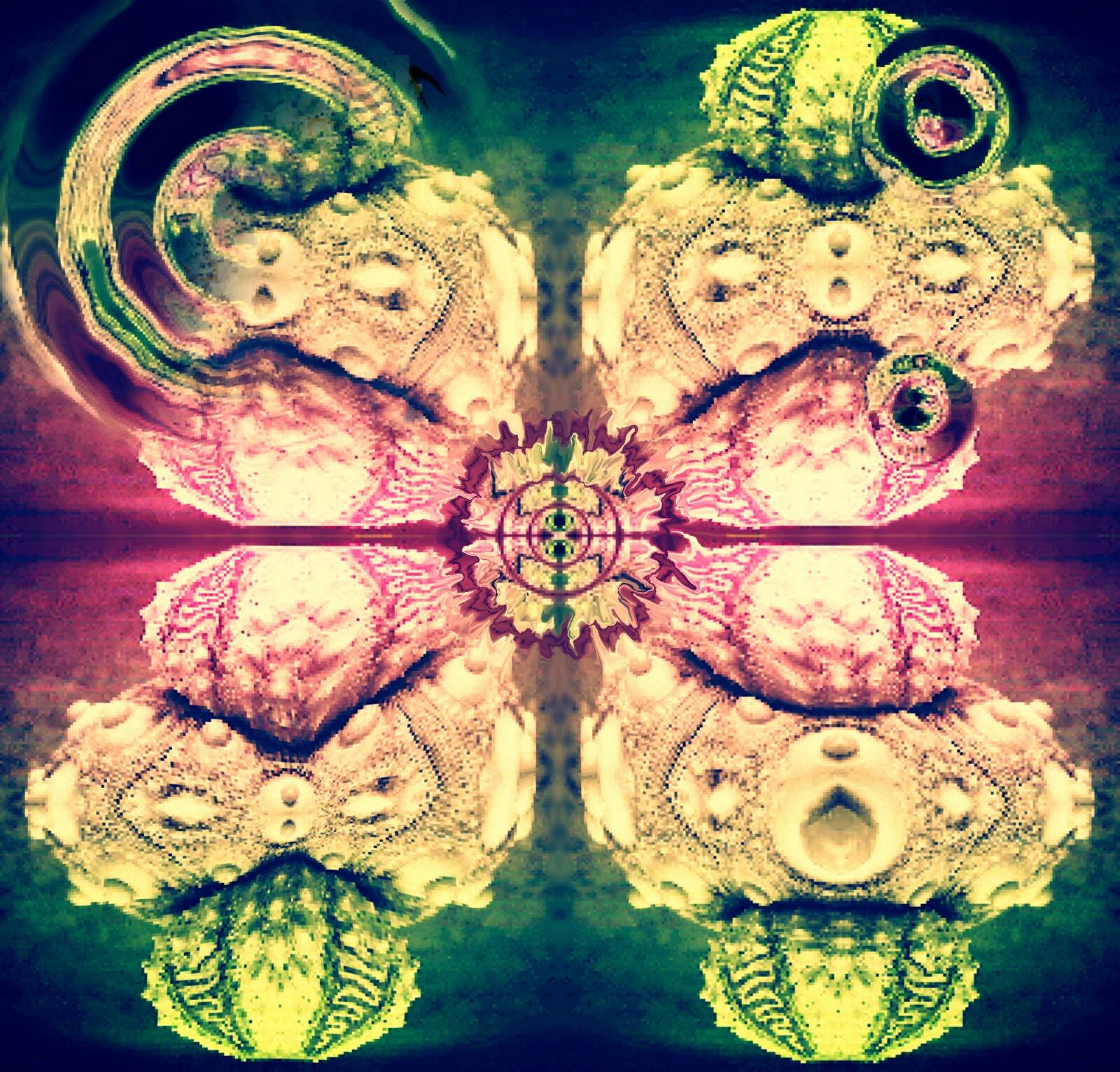 Brothers | Scrolller