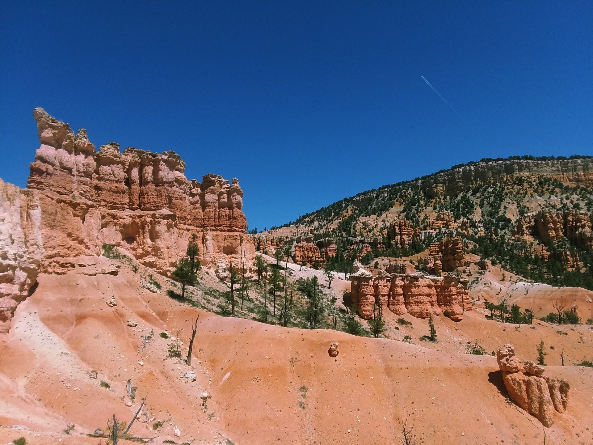 Bryce Canyon National Park | Scrolller