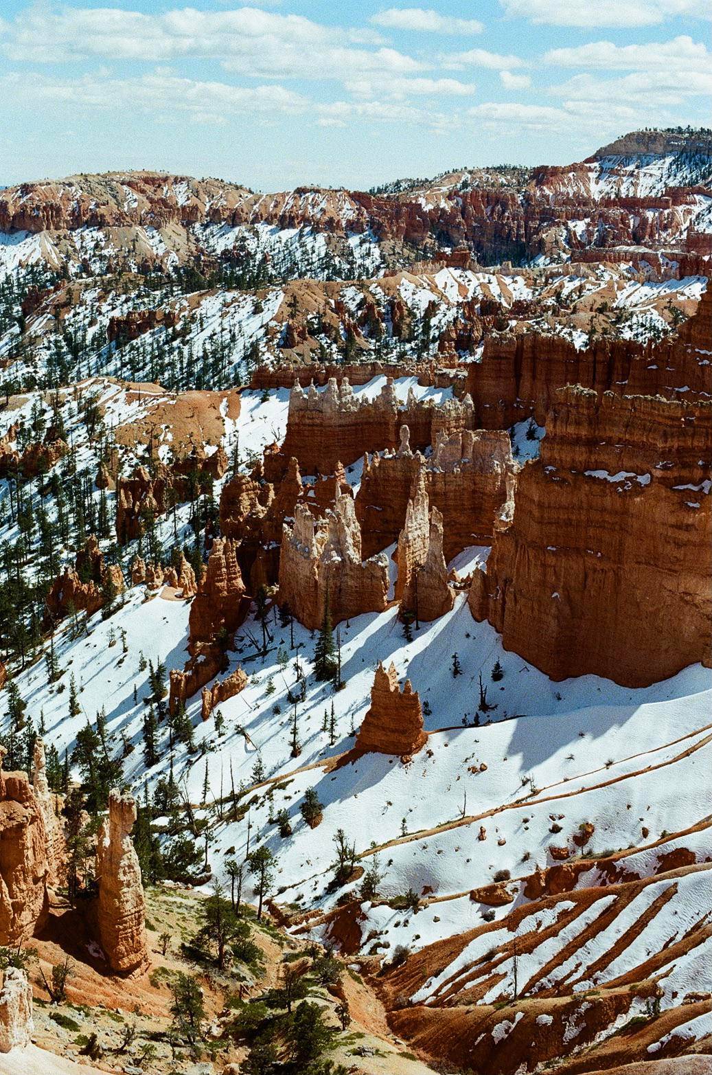 Bryce Canyon | Nikon F3 | 50mm f/1.4 | Ultramax 400 | Scrolller