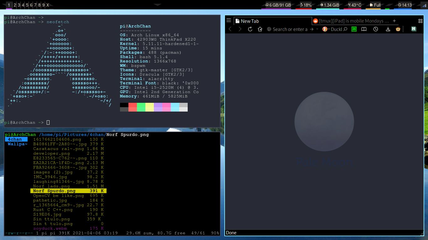 [BSPWM] arch-hardened, in security and looks | Scrolller