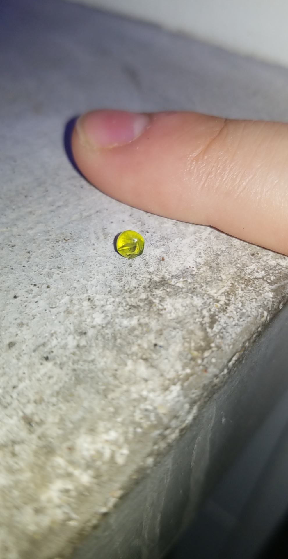 🔥 Bubble Algae; one of the largest single celled organisms. | Scrolller