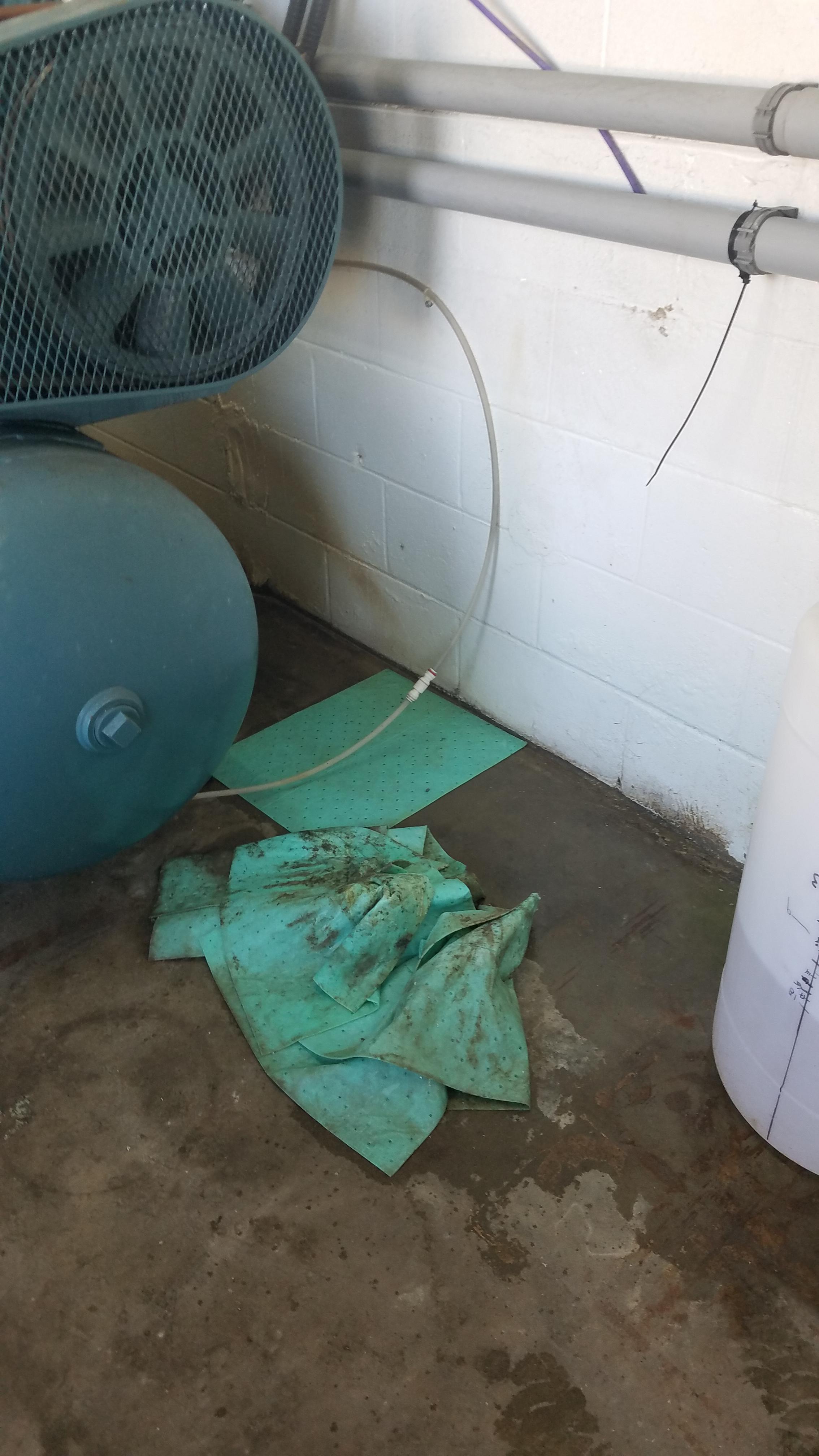 Bud light platinum makes the best HEAD? | Scrolller