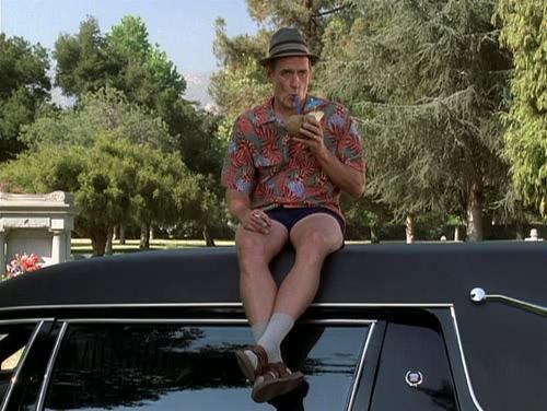 "*Buddy Boy*" | Scrolller