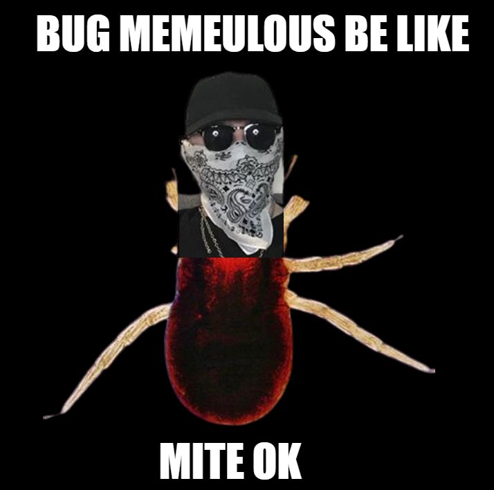 bug memeulous | Scrolller
