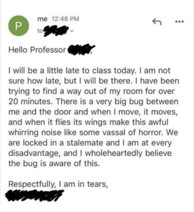 Bug rule | Scrolller