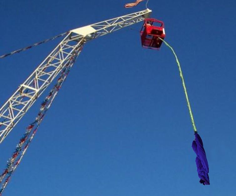 bungee toni | Scrolller