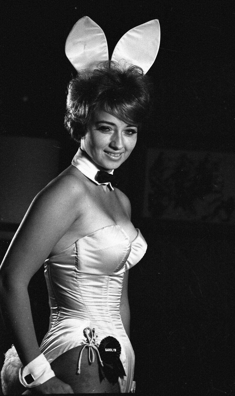 Bunny Caroline | Scrolller