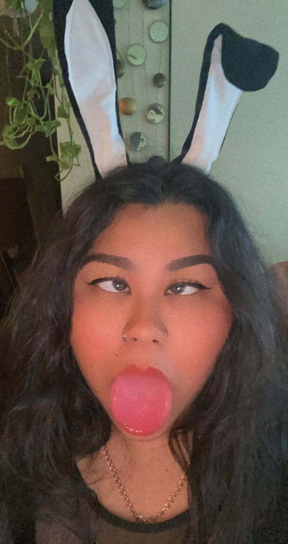 Bunny Girl Senpai Do You Remember This Face Scrolller