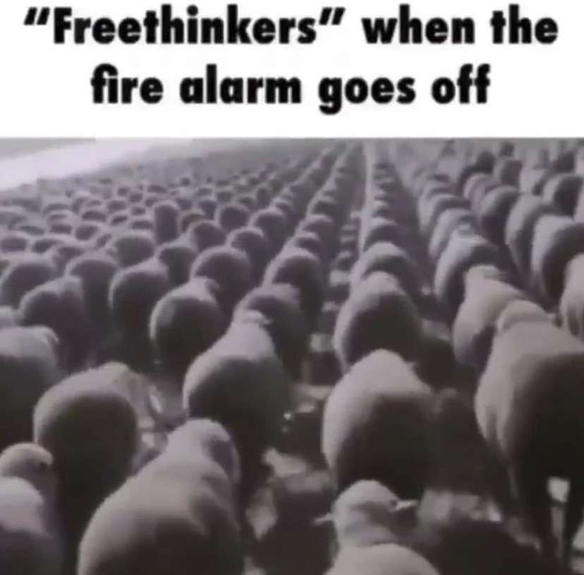 Burn to death to own the sheeple. | Scrolller