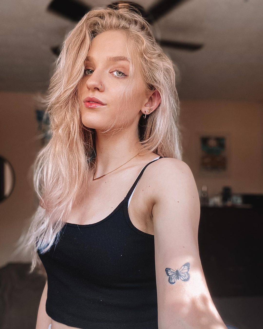 Butterfly | Scrolller