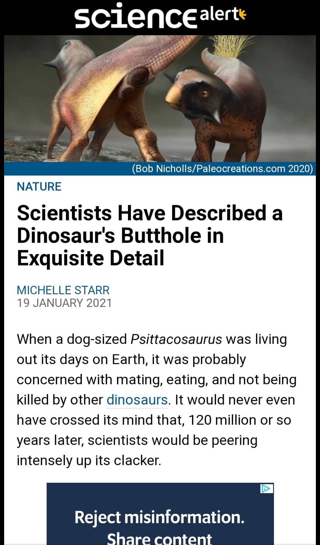 Butthole | Scrolller