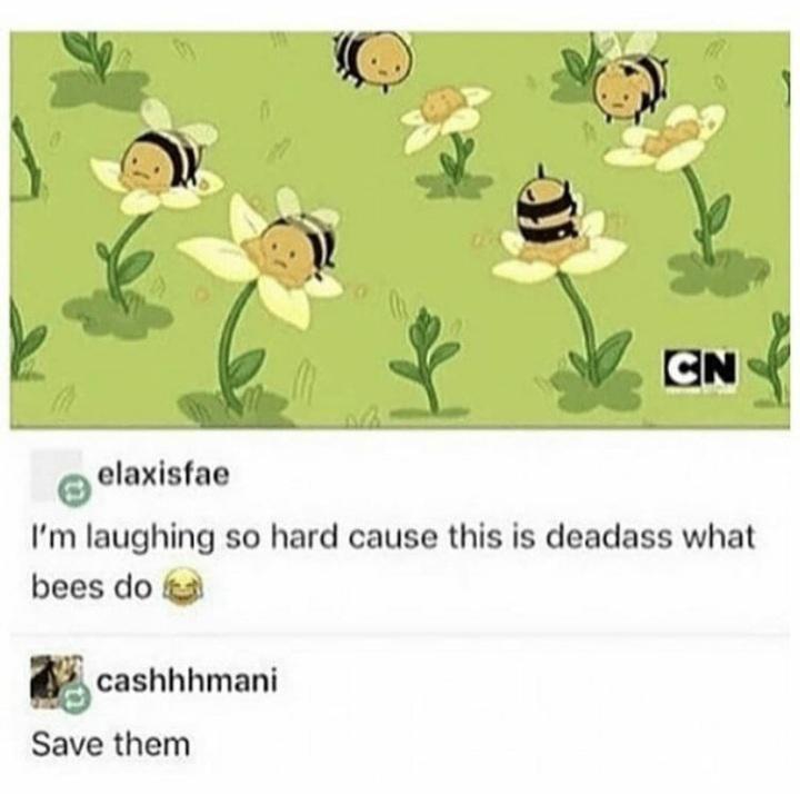 Buzz buzz | Scrolller