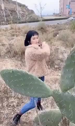 'I'm so bad, I'm gonna damage a plant for absolutely no reason' | Scrolller