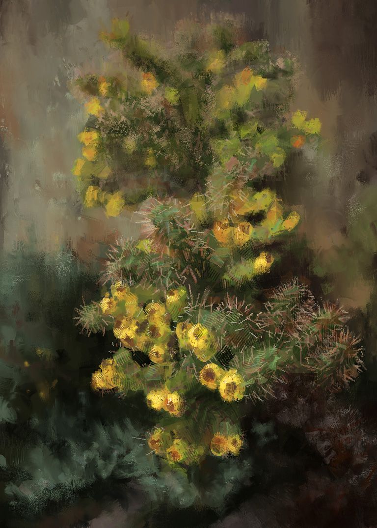 cactus study 2 | Scrolller