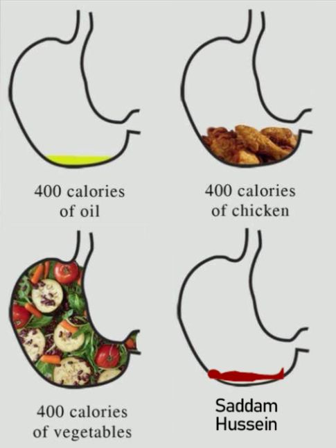 Calorie rule | Scrolller