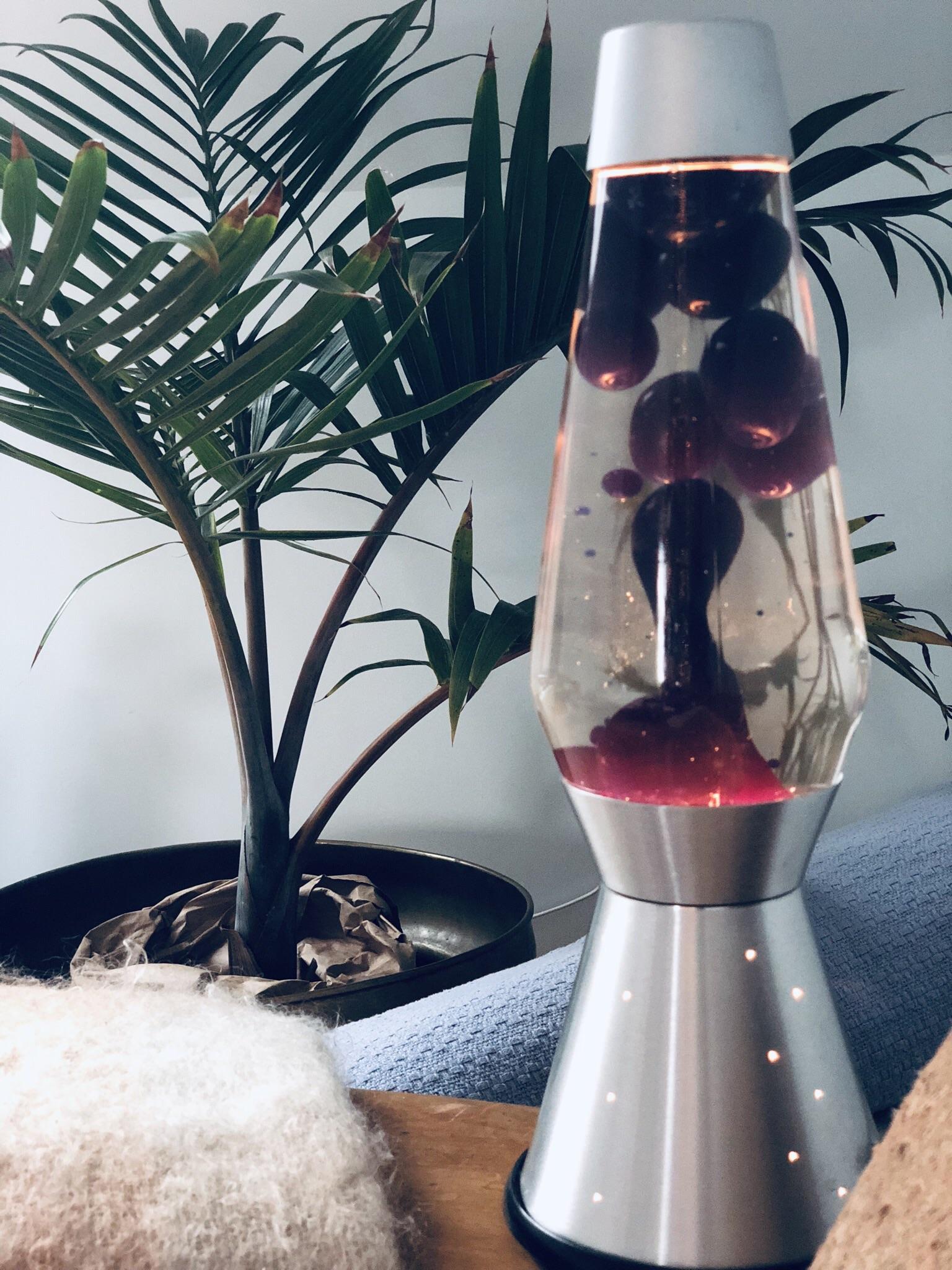 Can’t stop staring | Scrolller