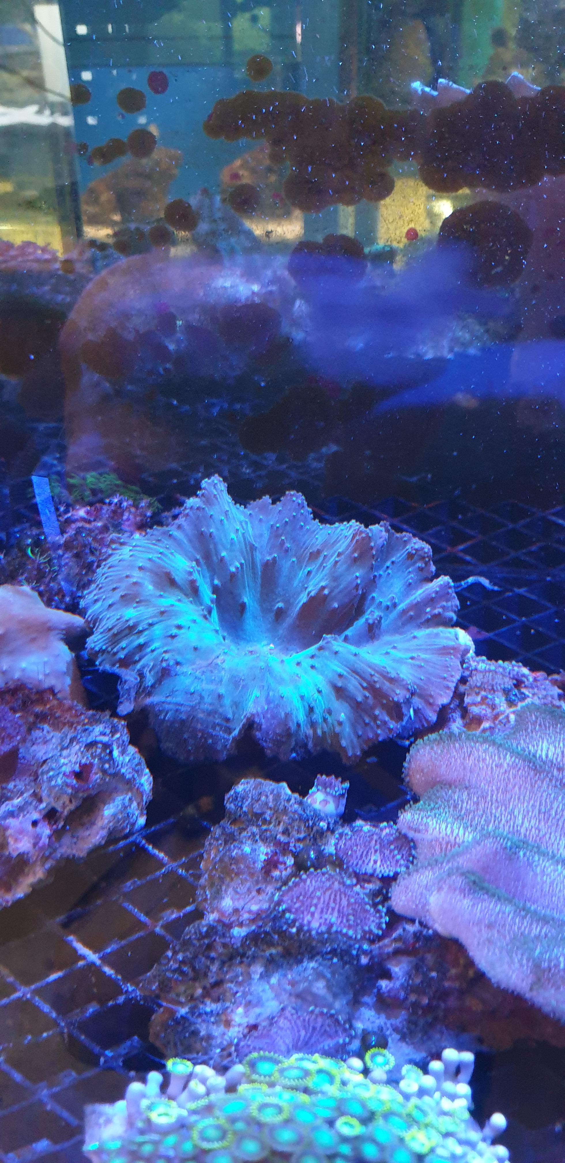 Can you identify this beauty in the middle for me? | Scrolller