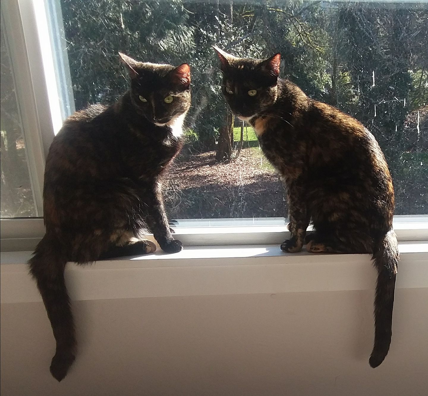 Can You Tell Theyre Sisters Scrolller