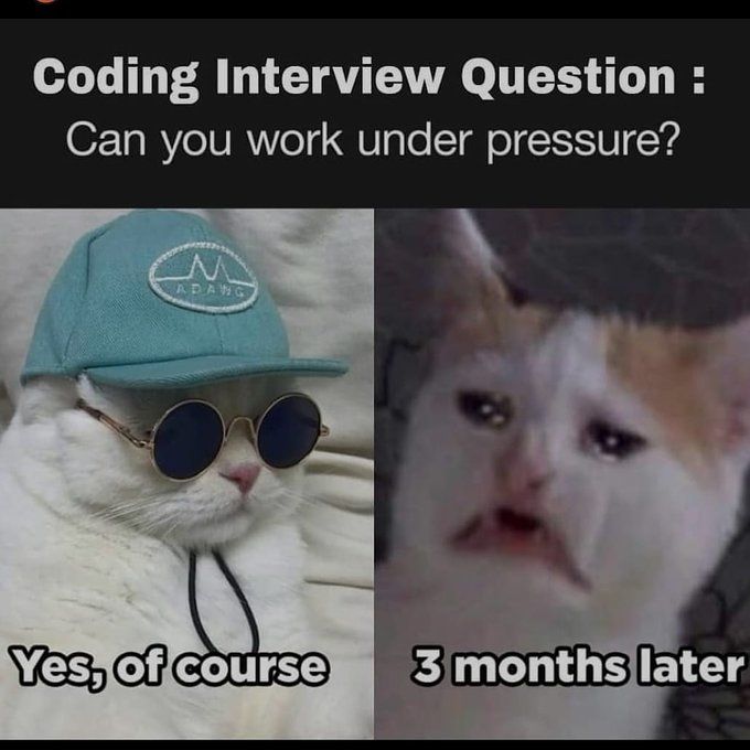 Can youu work under pressure? | Scrolller