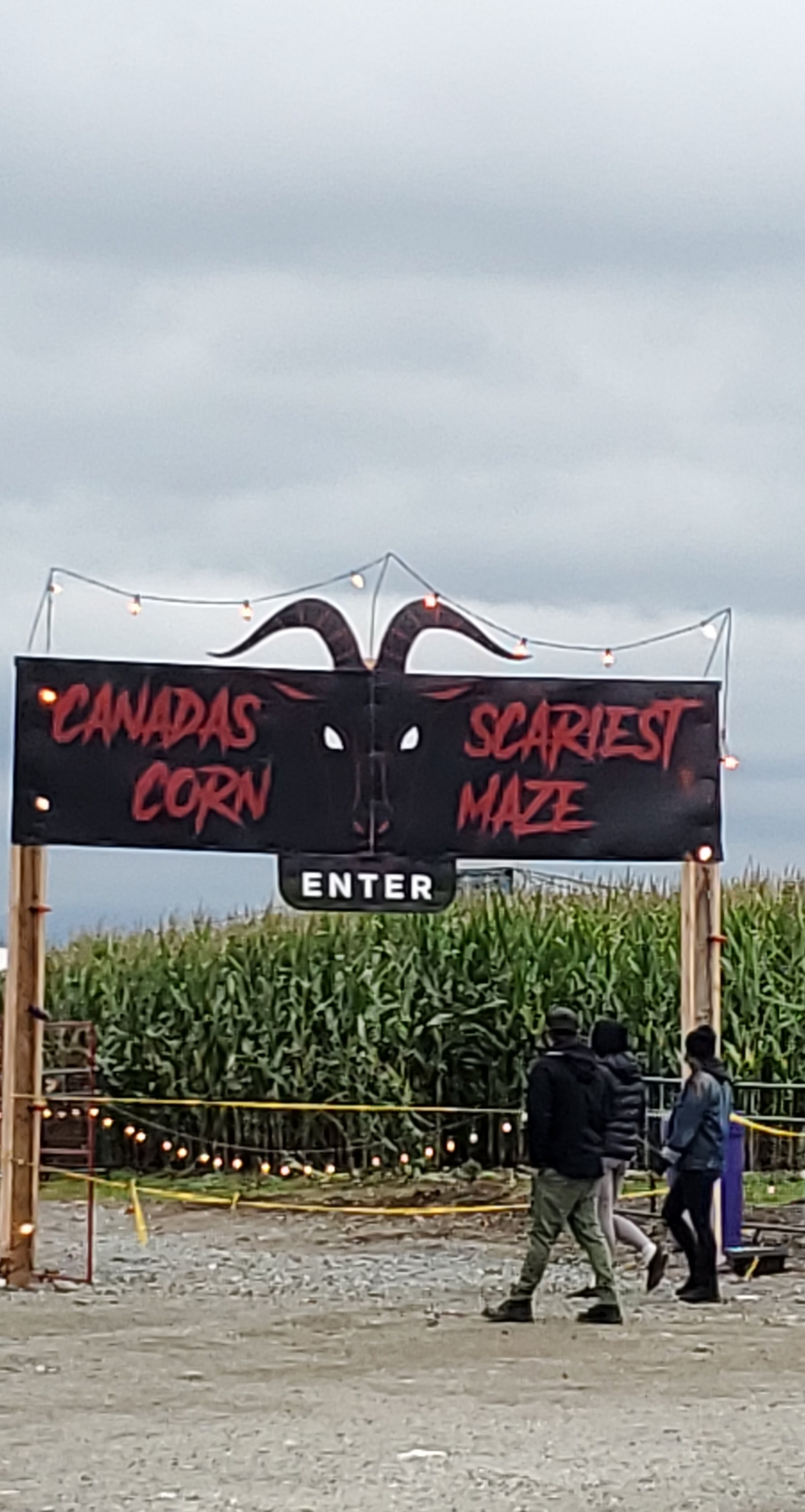 Canada's corn, scariest maze | Scrolller