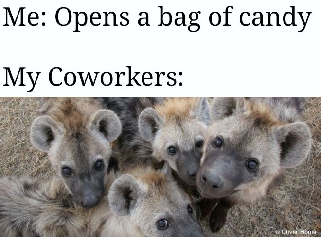 Candy_irl | Scrolller