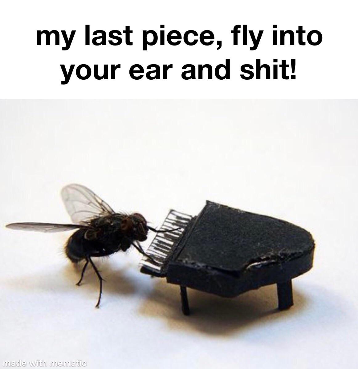 cant do shit in dankmemes | Scrolller