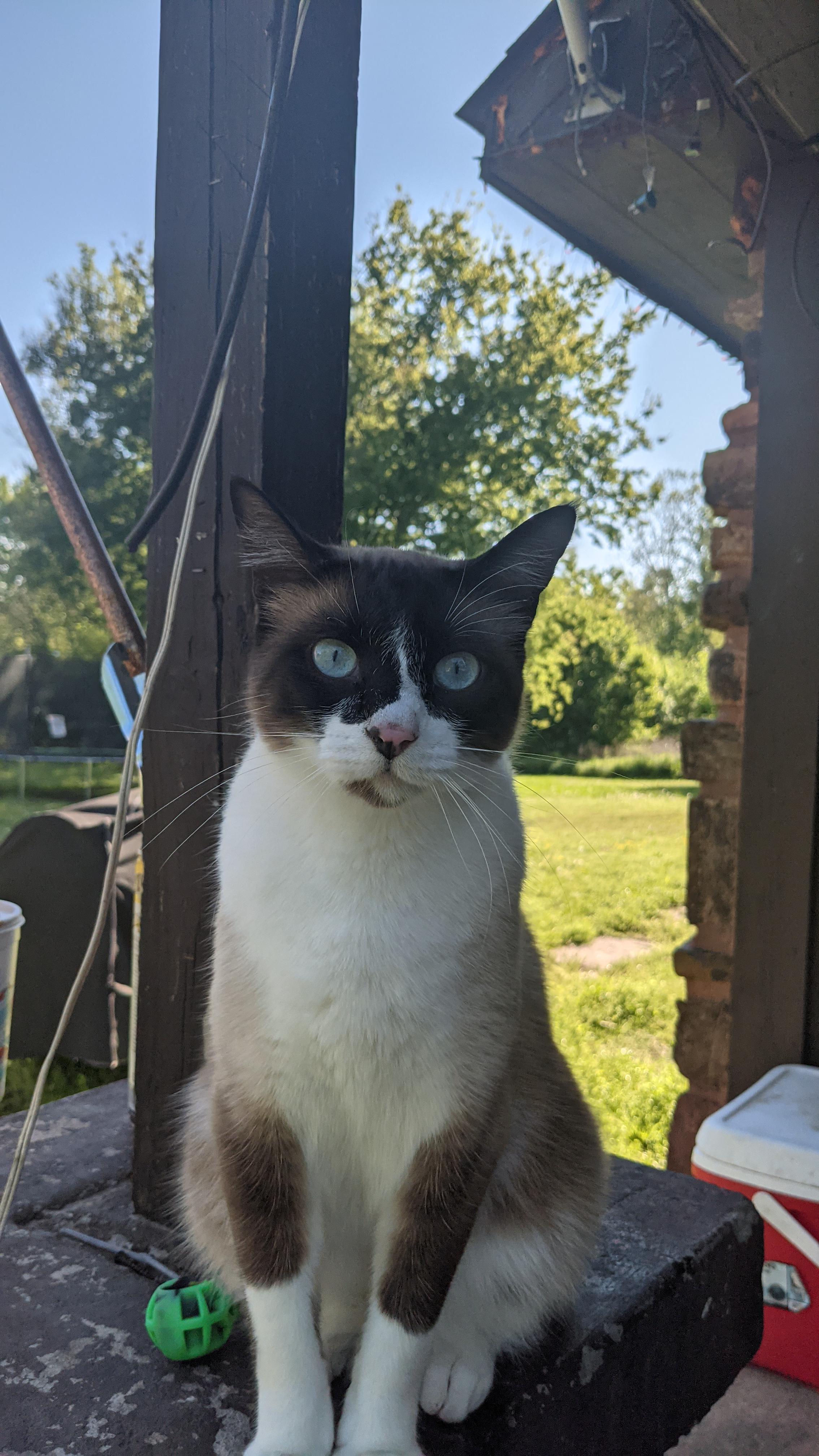 Can't really share this anywhere else because of the pipe, so enjoy the pic of this glorious ...