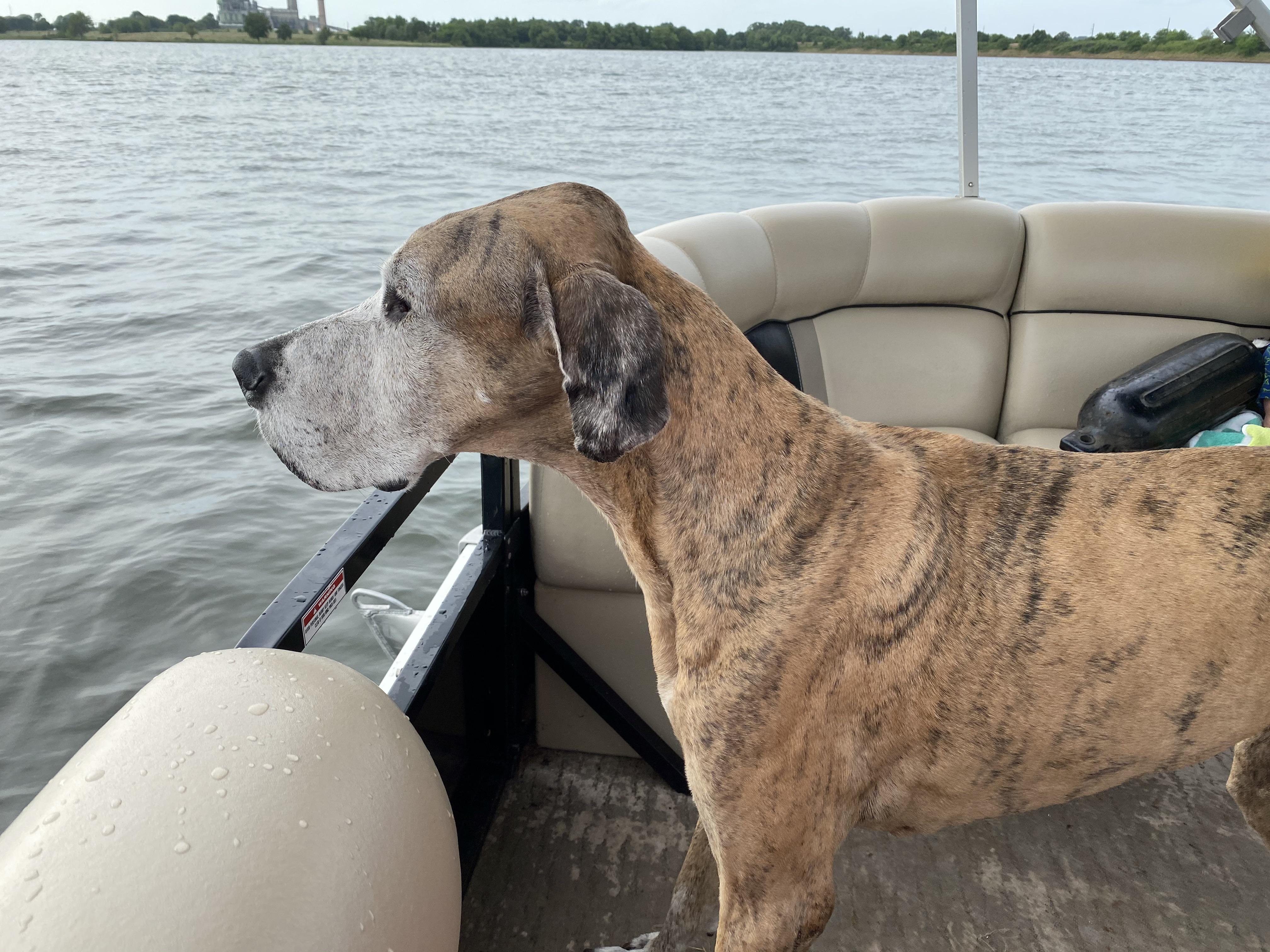 Captain Baxter | Scrolller