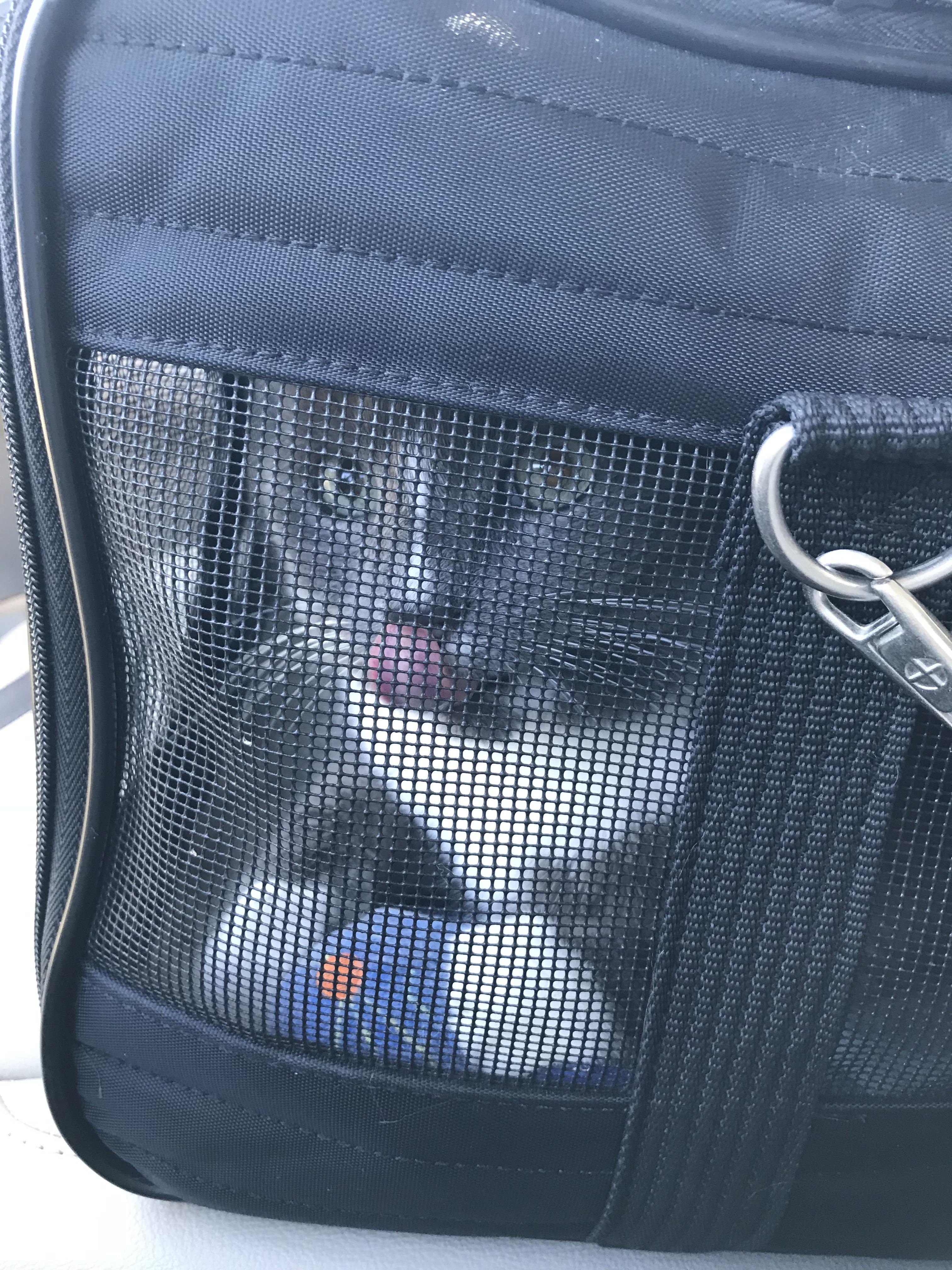 Captive mlep | Scrolller