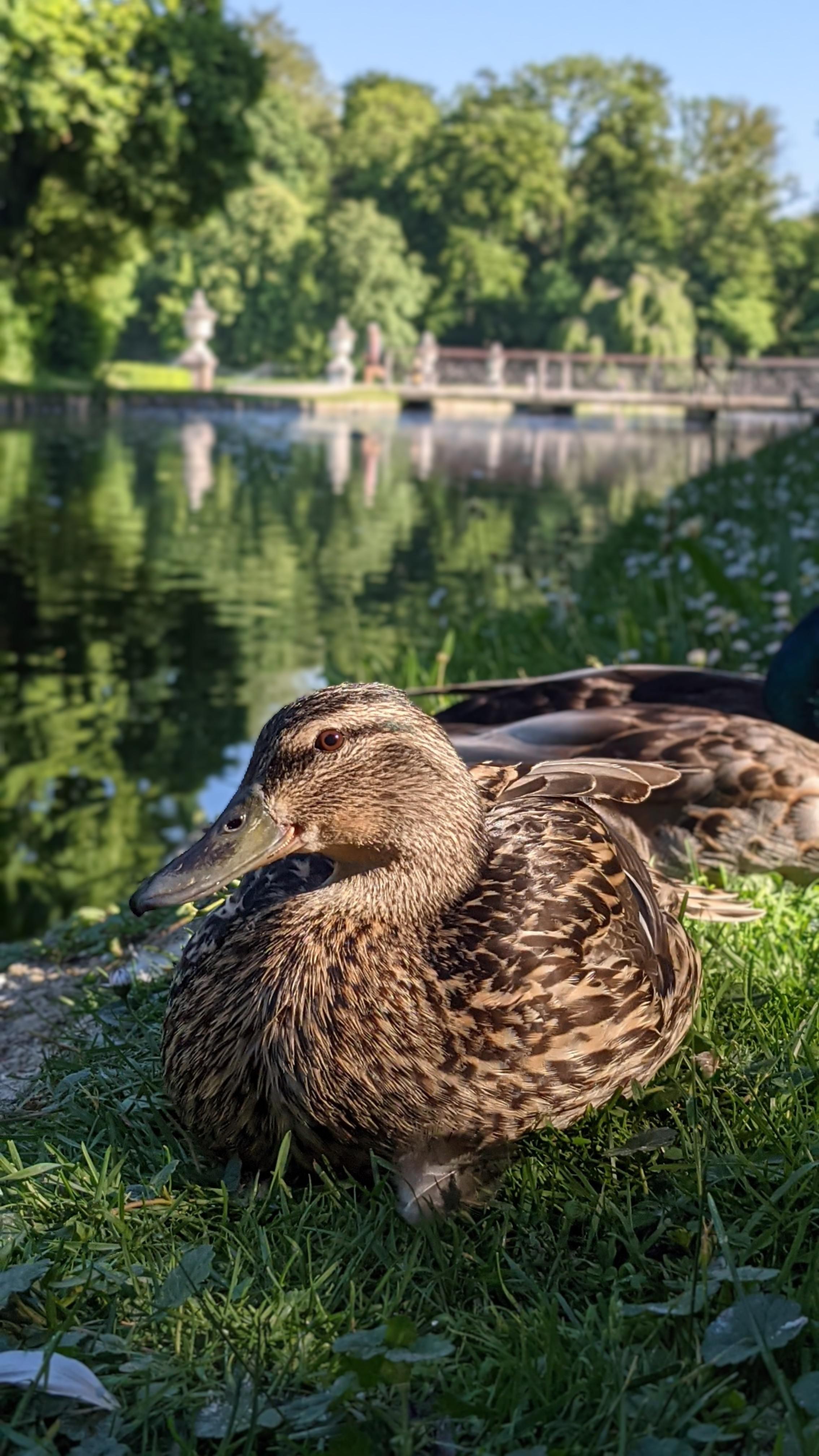 Captured in Munich, Germany | Scrolller