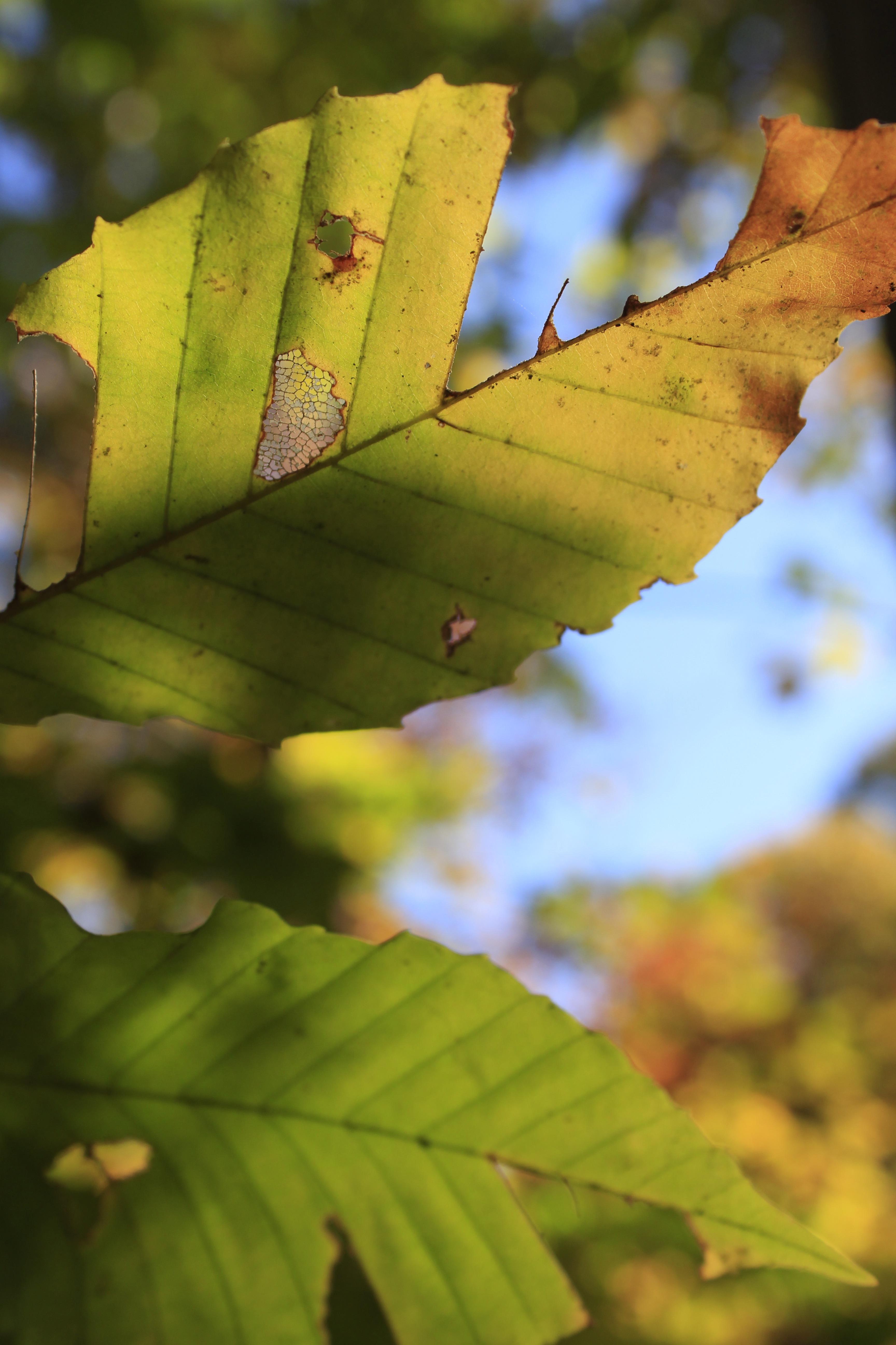 capturing change, me, photograph, 2019 | Scrolller