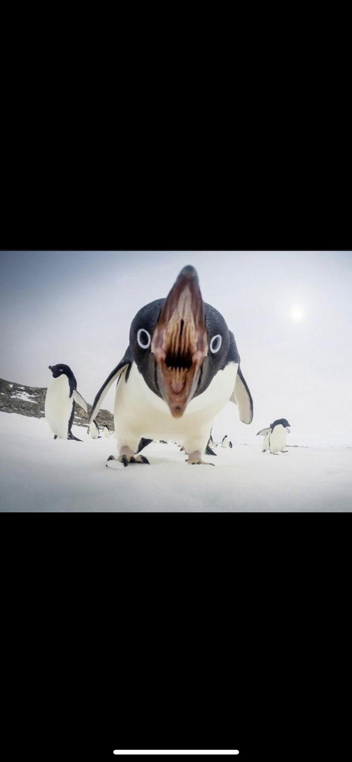 Care to explain | Scrolller